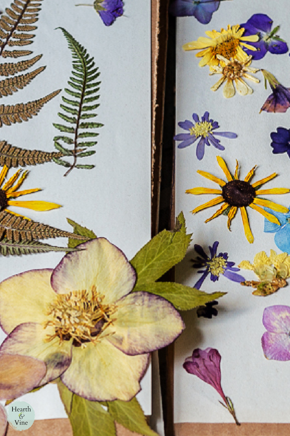 How to Press Flowers to Make Beautiful Gifts | Hearth and Vine