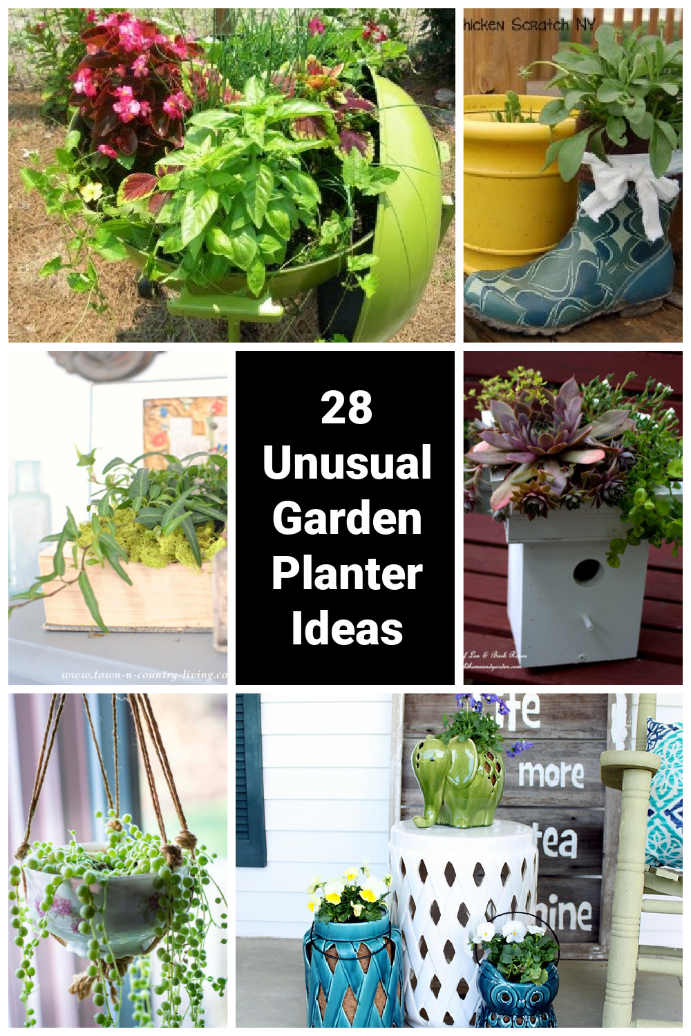Unique Container Gardening Ideas | Hearth and Vine