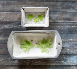 Scented Geranium Cake - A Tasty Dessert with Floral Notes