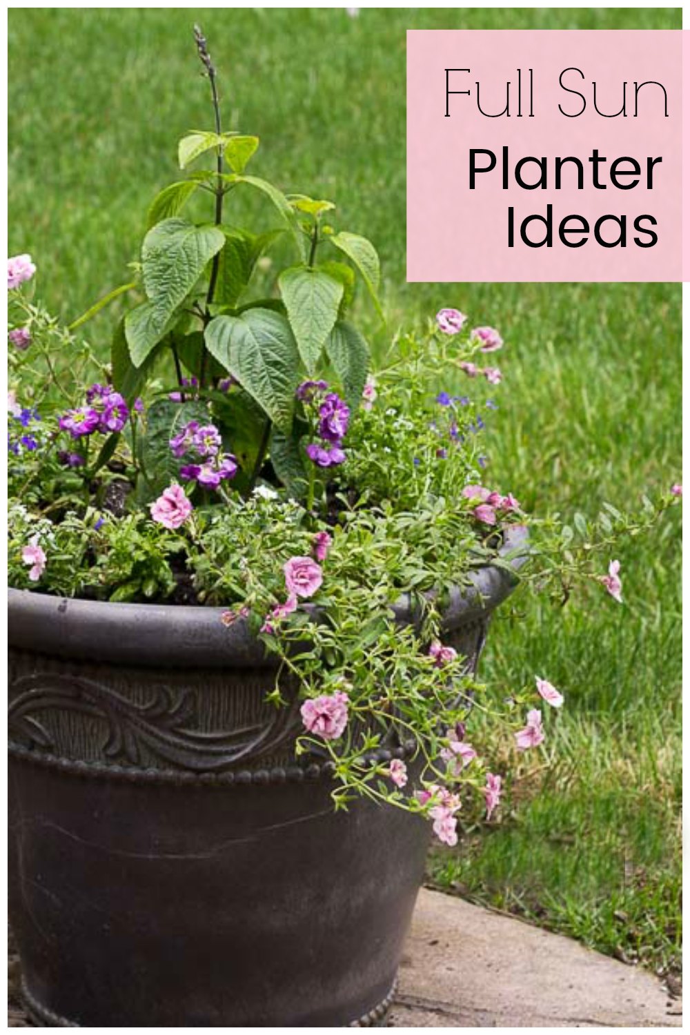 Full Sun Planter Ideas: Containers That Last All Season