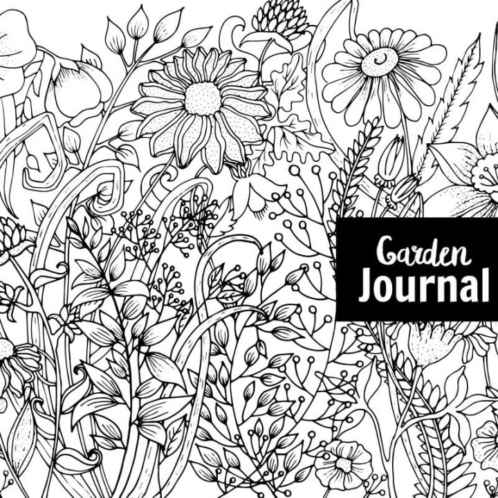 Make Your Own Coloring Page Journals | Hearth and Vine