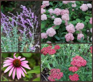 Fall Planter Ideas That Will Take You Into Winter | Hearth & Vine