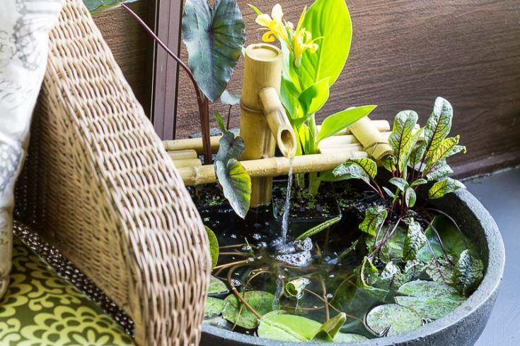 New Addition: A Patio Pond for the Screened Porch