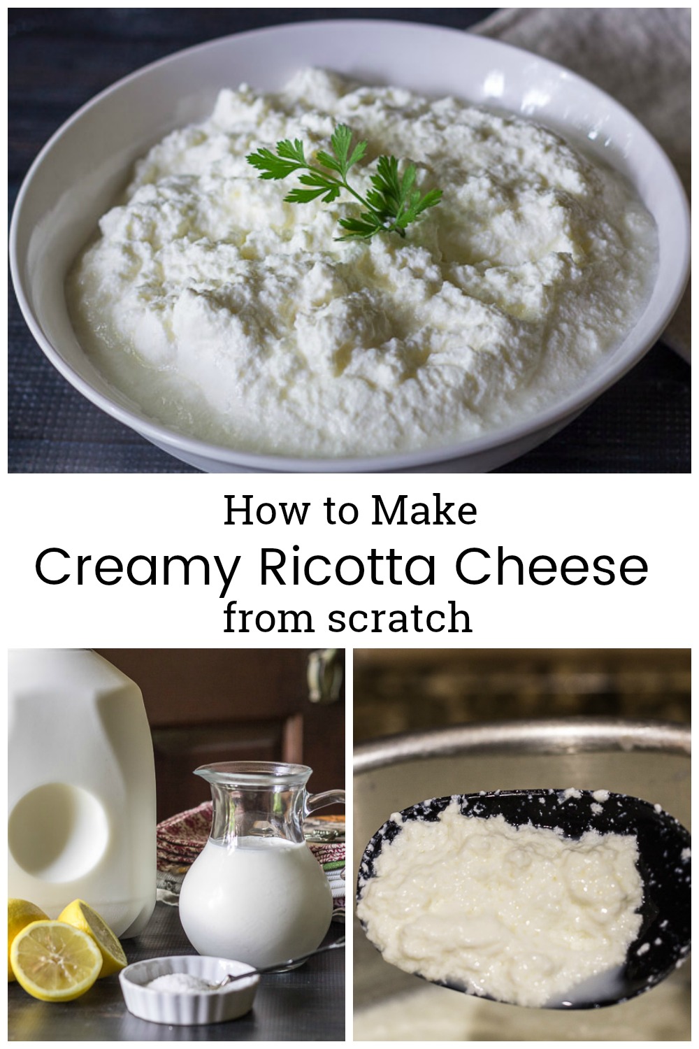 Homemade Ricotta Cheese from Scratch