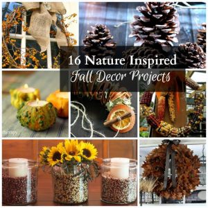 16 Nature Inspired Fall Decor Projects to Make Now