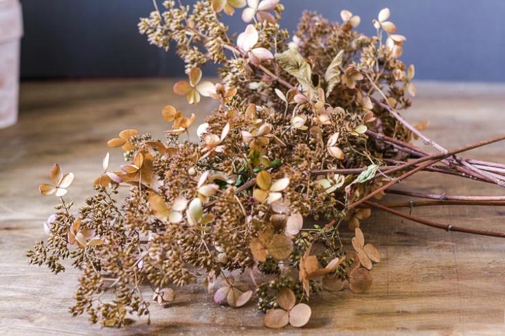 How to Make A Dried Hydrangea Arrangement | Hearth and Vine