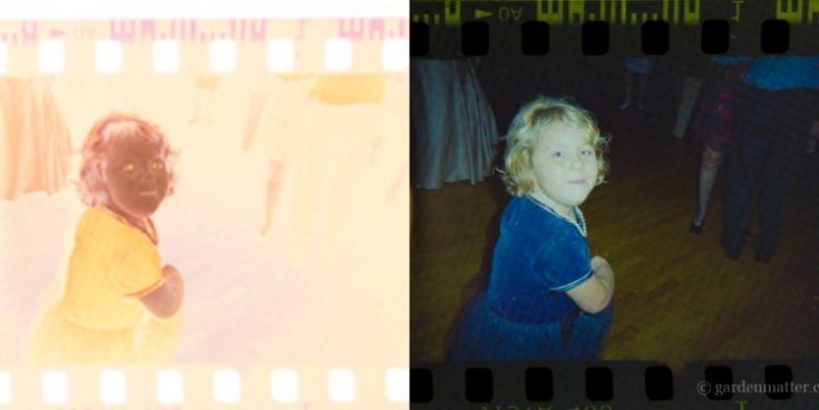 How to Digitize Old Negatives for Next to Nothing