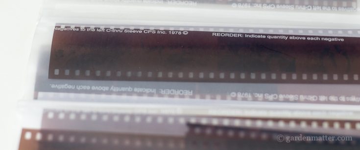 How to Digitize Old Negatives for Next to Nothing