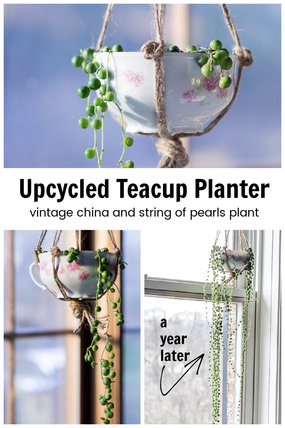 Hanging Teacup Planter Upcycle with China & String of Pearls