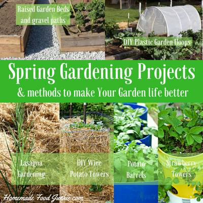 Time to Dig In: Simple Tips for Preparing Your Spring Garden