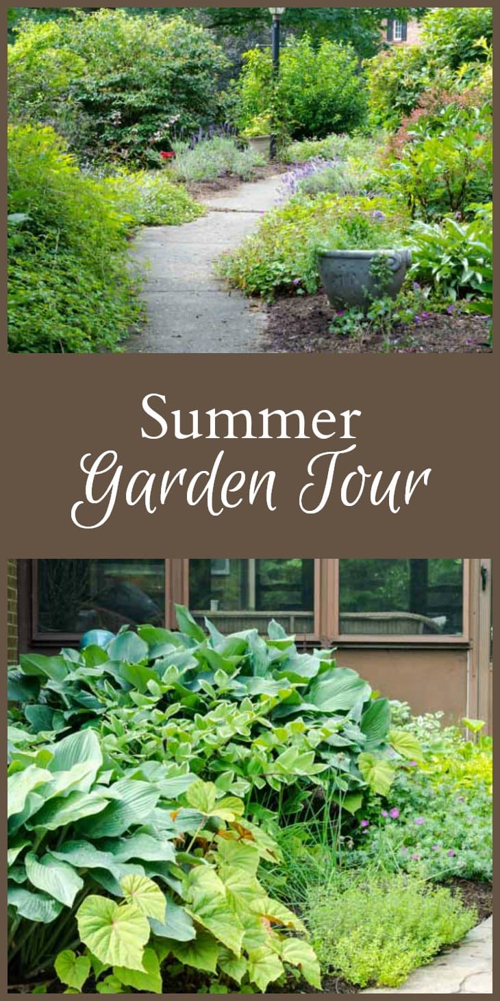 See What's Blooming in the Garden: Summer Garden Tour