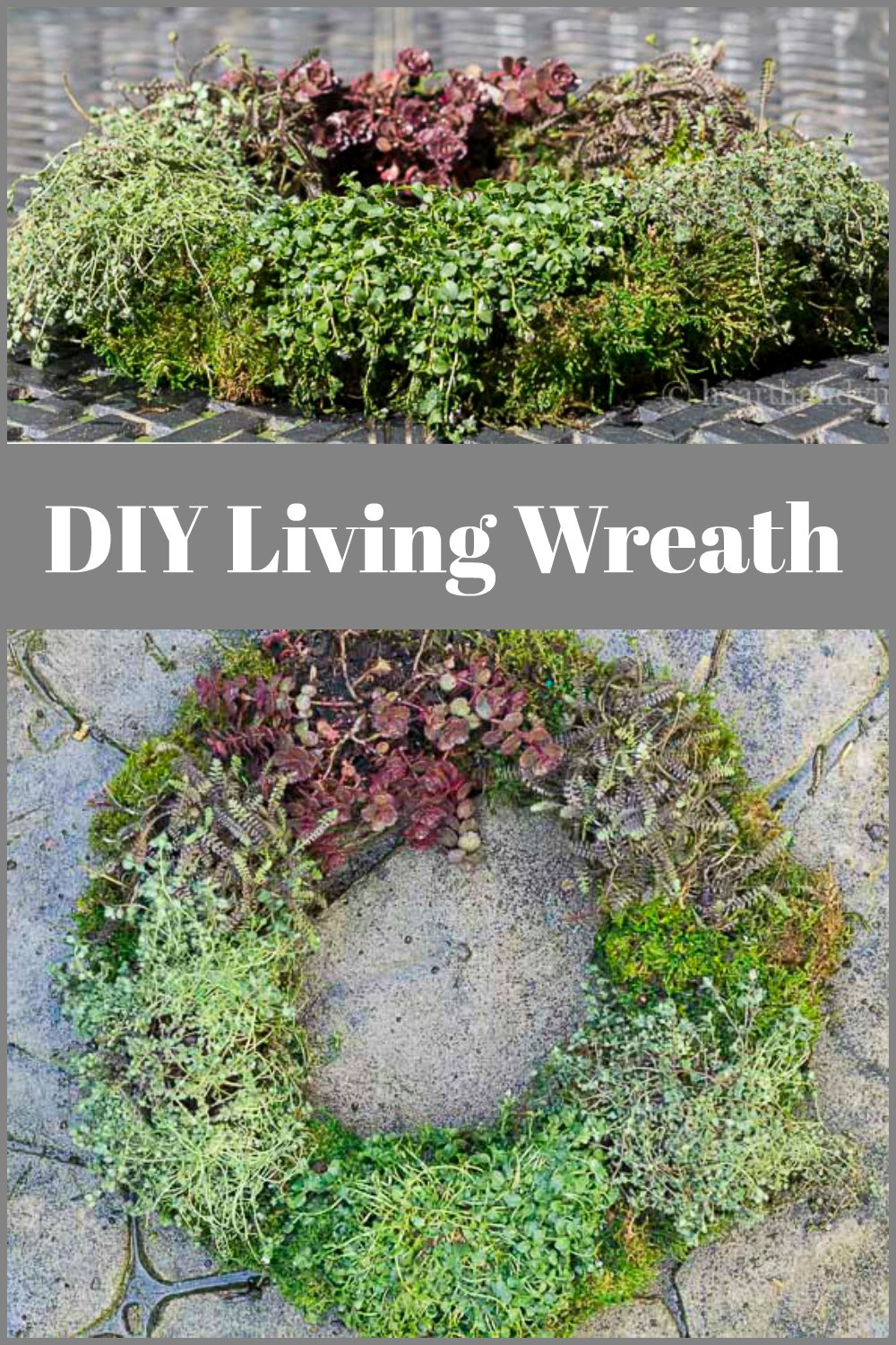How To Make A Living Wreath | Hearth and Vine