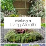 How To Make A Living Wreath | Hearth and Vine