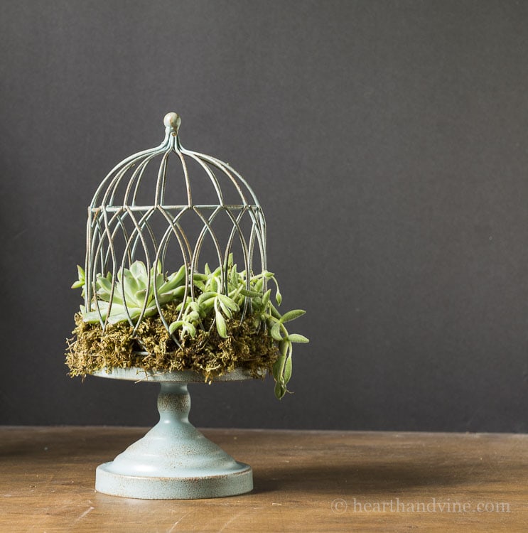How to Make a Succulent Birdcage Planter | Hearth & Vine - formerly ...