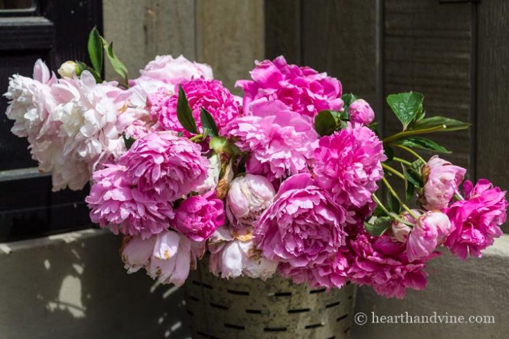 How to Make a Dried Peony Wreath | Hearth and Vine
