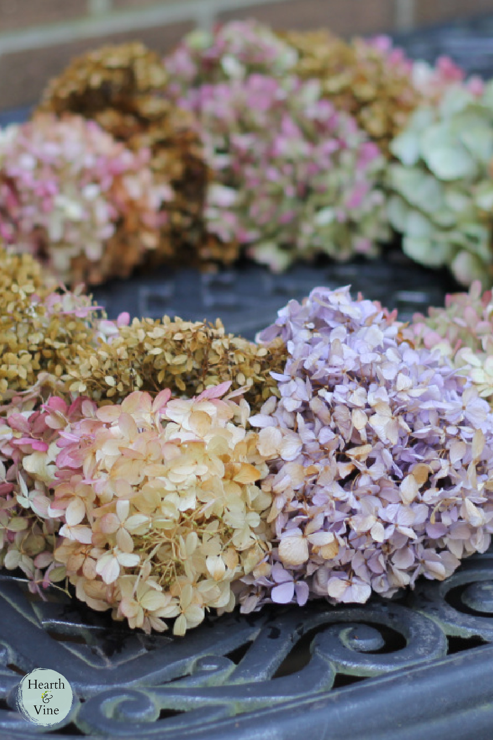 Drying Hydrangeas - Tips for Creating Everlasting Decor
