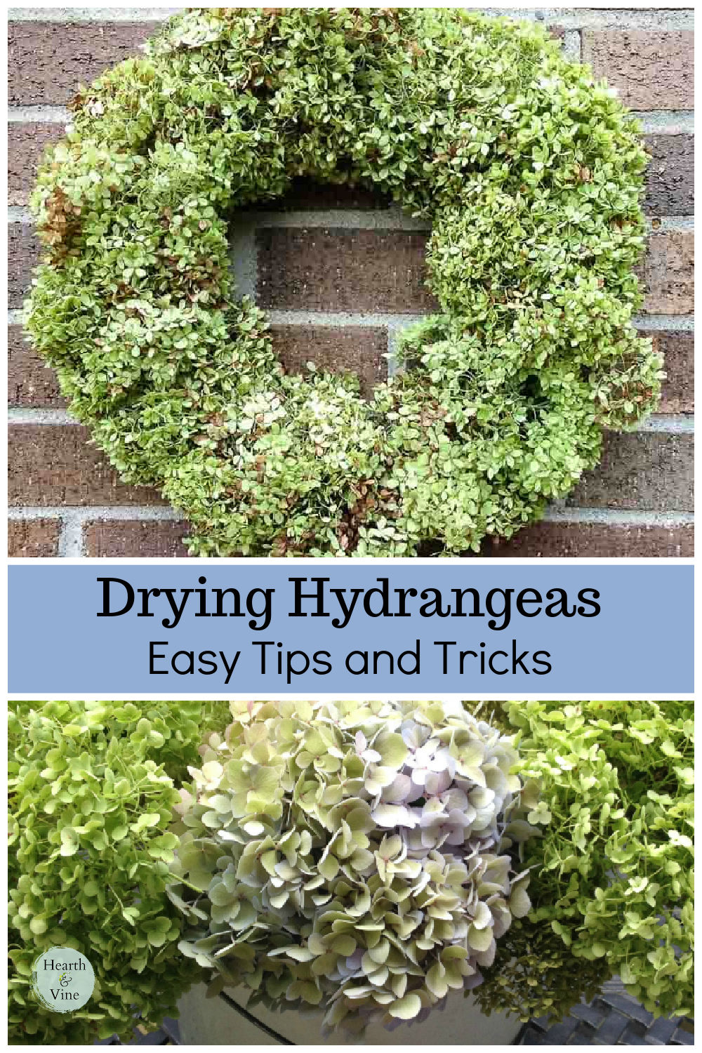 Drying Hydrangeas - Tips for Creating Everlasting Decor