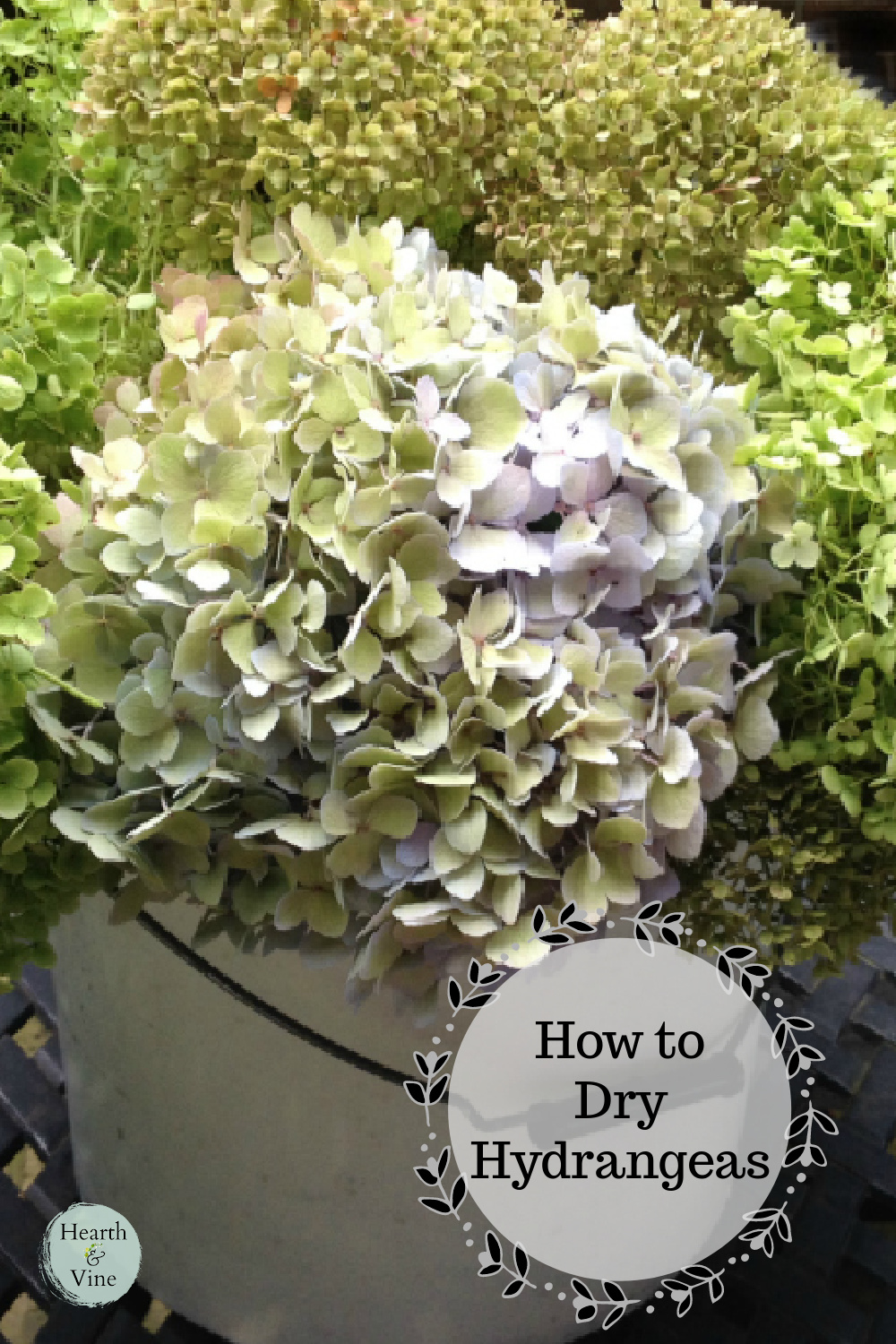 Drying Hydrangeas - Learn the Secret to Creating Everlasting Decor
