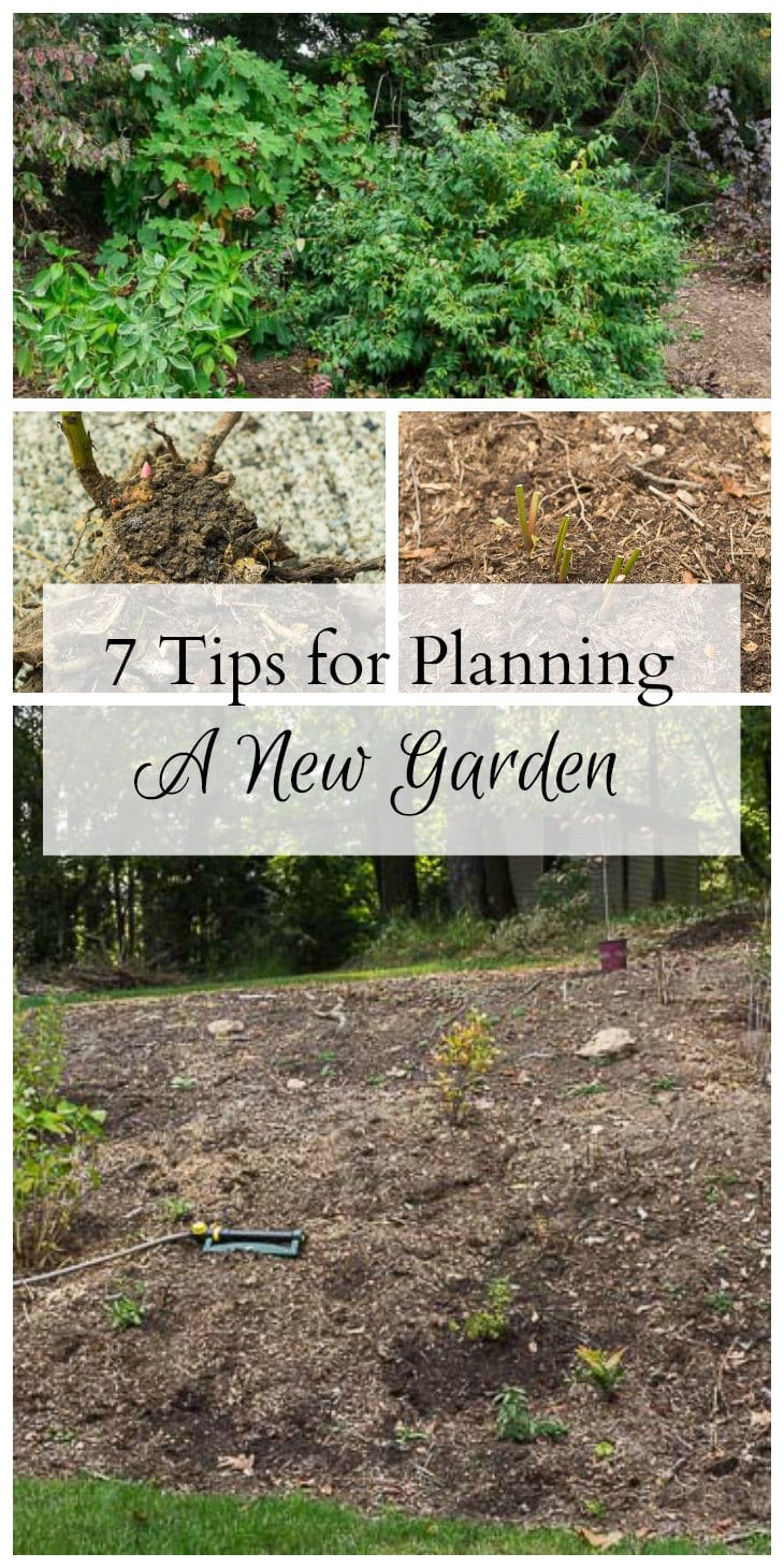 Plan a Garden: 7 Budget Friendly Tips To Make it Easy