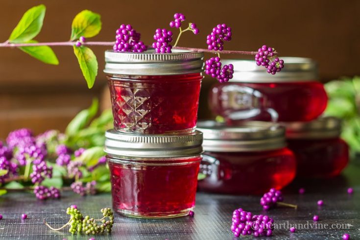 Homemade Jelly Candies Recipe to Make and Gift