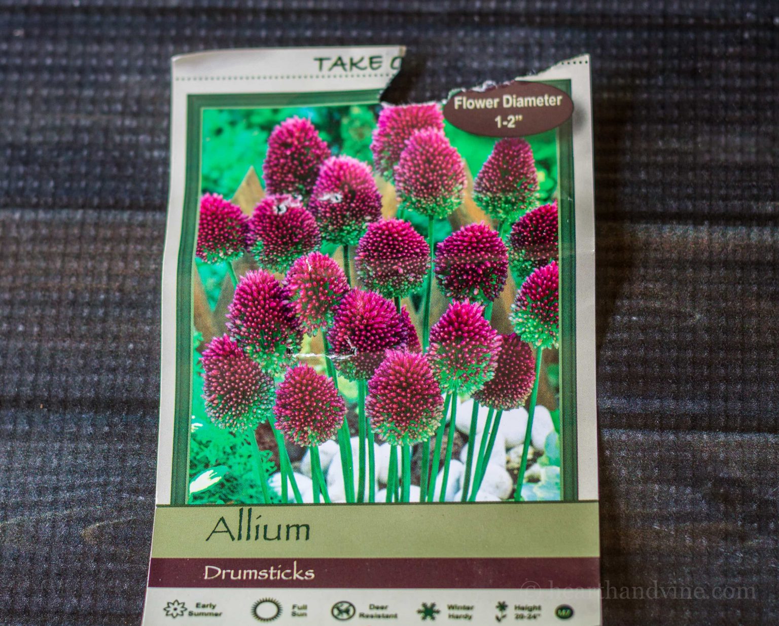 Deer Resistant Bulbs - Plant in the Fall for Spring Blooms