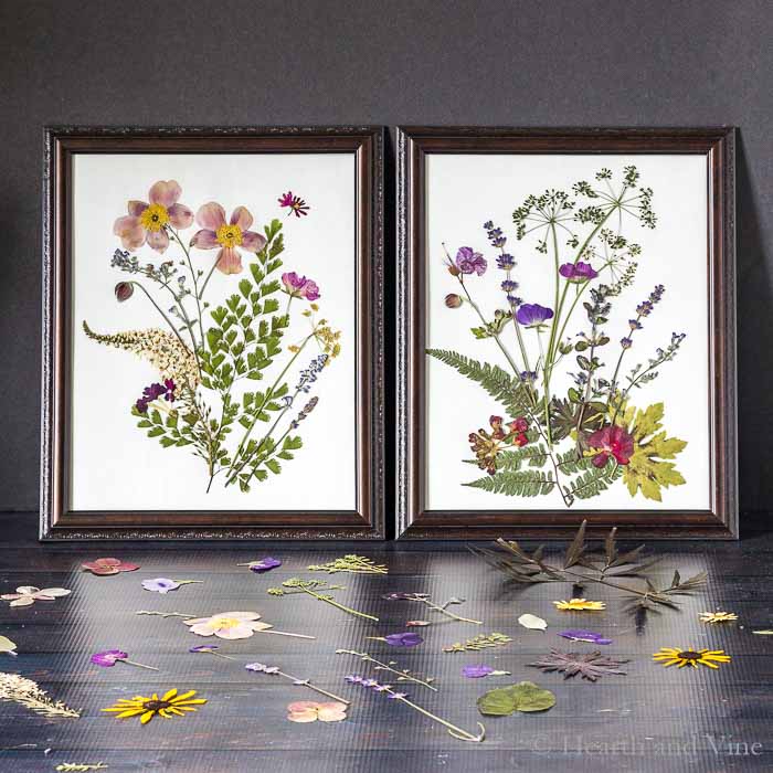 Pressed Flower Art Pictures So Easy With Beautiful Results