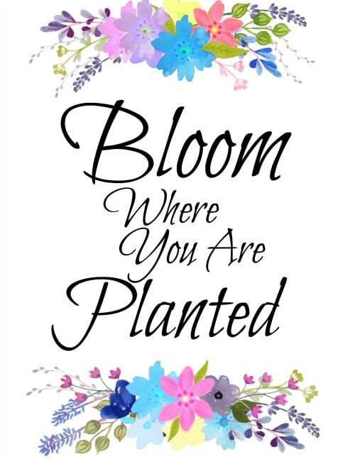 Bloom Printable