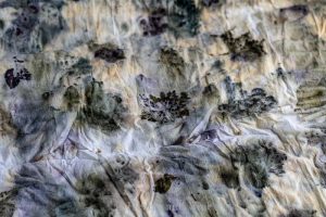 Eco Printing- A Fun Way to Create Beautiful Fabric with Nature
