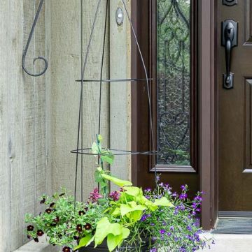 DIY Plant Trellis for Flower Pots - Adds Height to Your Flower Pots