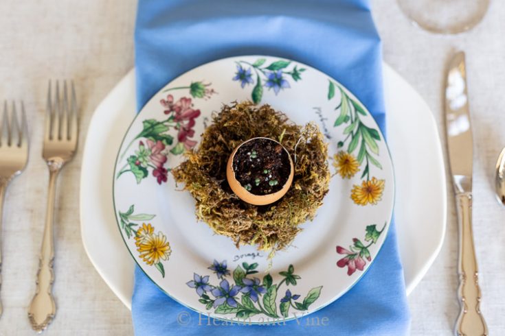 Simple Table Decorations for Spring | Hearth and Vine