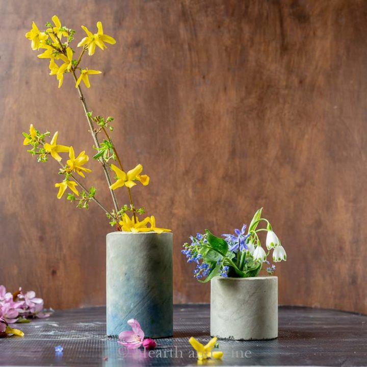 DIY Concrete Vases