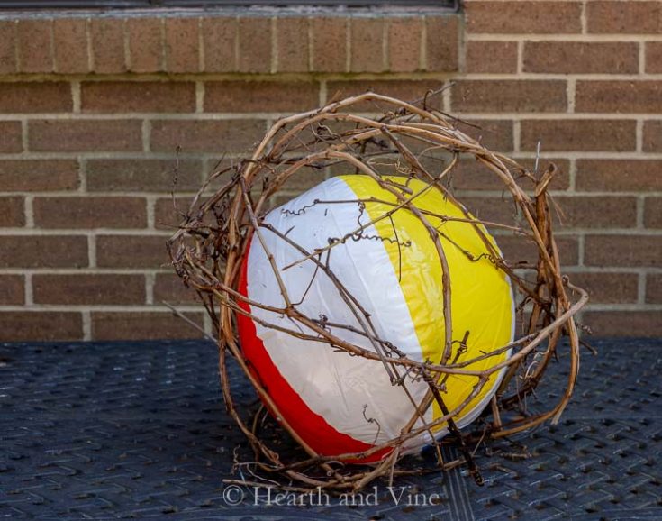 Make a Grapevine Sphere to Celebrate Earth Day