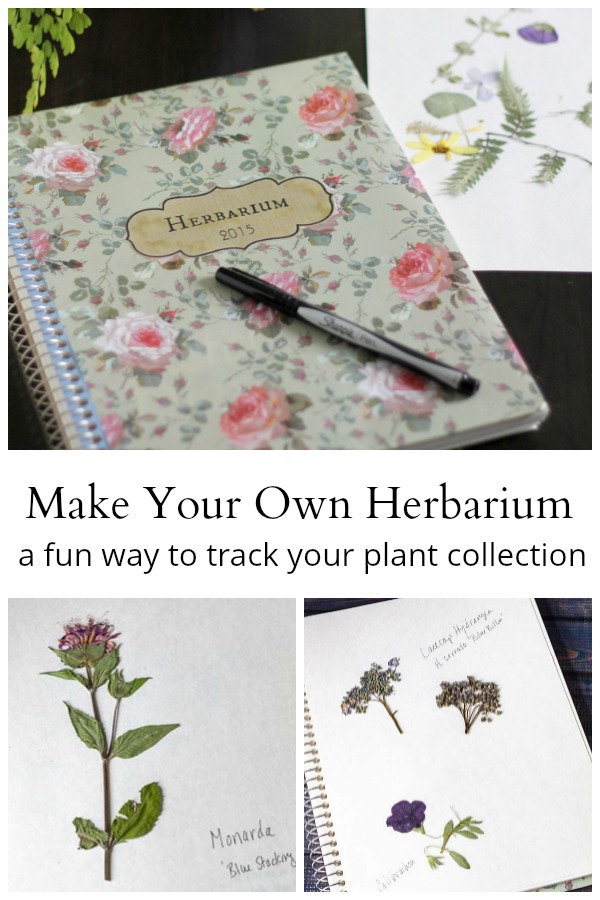 Herbarium Journal - What Are They, and How You Can Make Your Own