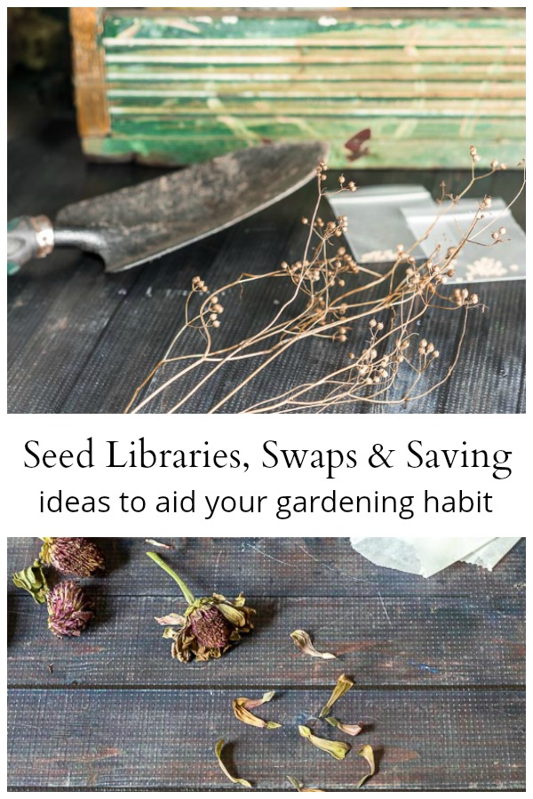 Seed Libraries, Seed Swaps & Seed Saving