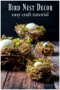 Bird Nest Craft for Your Spring Decor | Hearth and Vine