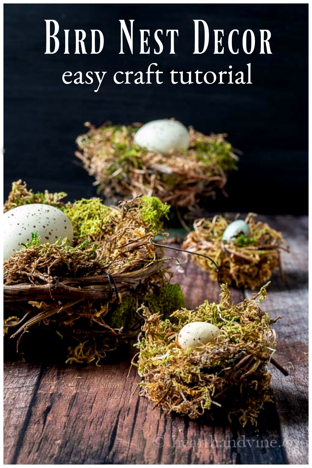 Bird Nest Craft for Your Spring Decor | Hearth and Vine
