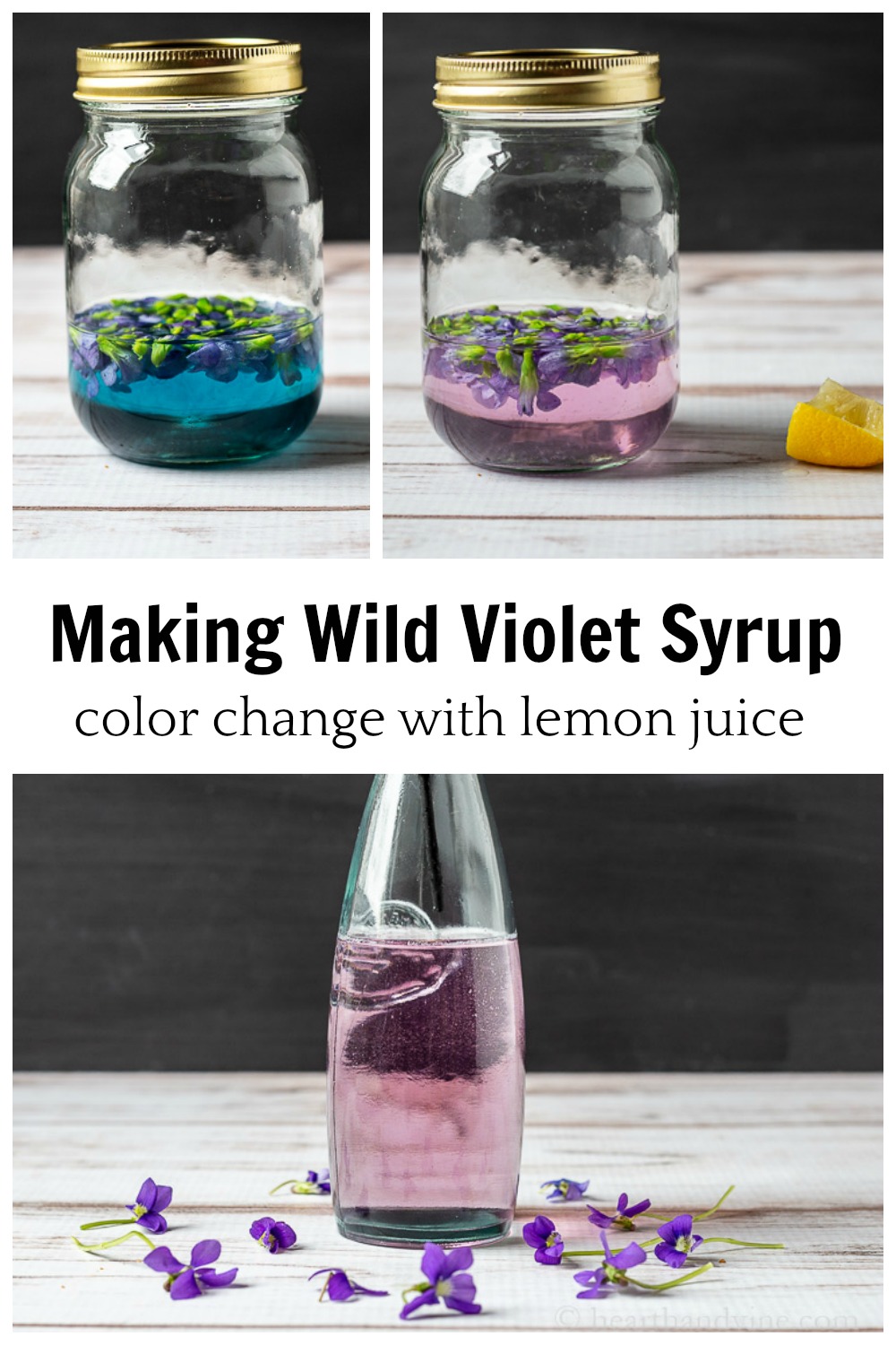 Homemade Wild Violet Syrup Recipe