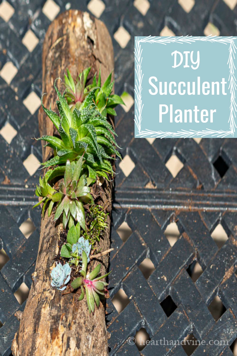 How to Make a Succulent Log Planter | Hearth and Vine