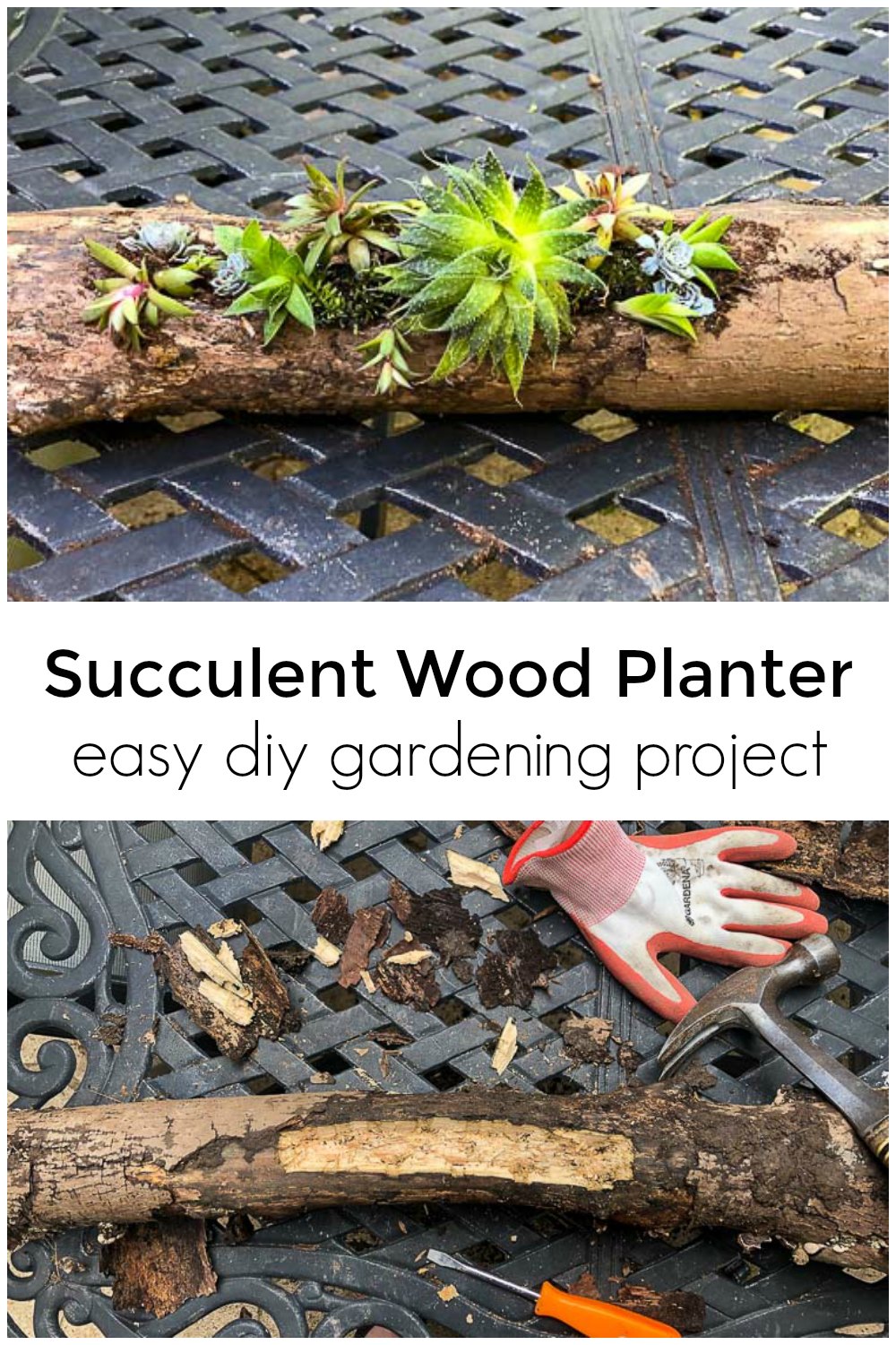 How to Make a Succulent Log Planter | Hearth and Vine