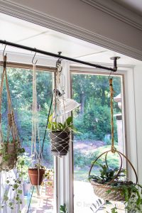 DIY Industrial Pipe Plant Hanger for Multiple Plants
