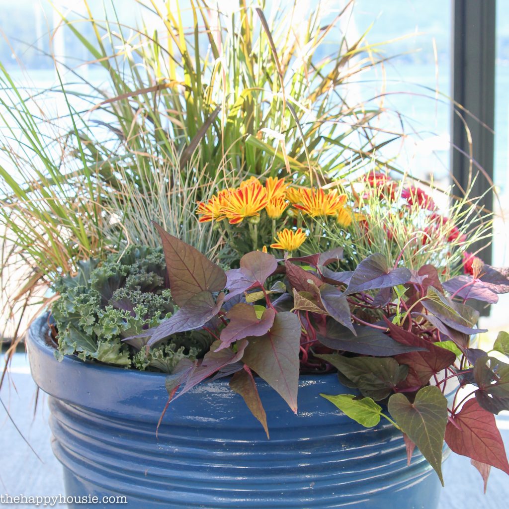 Fall Flower Planters You Can Easily Create