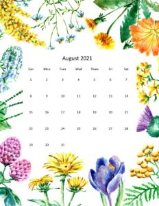 2021 Calendars by the Month - Free to Print and Use