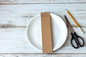 Paper Plate Boxes that are Cheap and Easily Created in Minutes