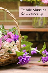 Tussie Mussies and The Language of Flowers for Valentine's Day