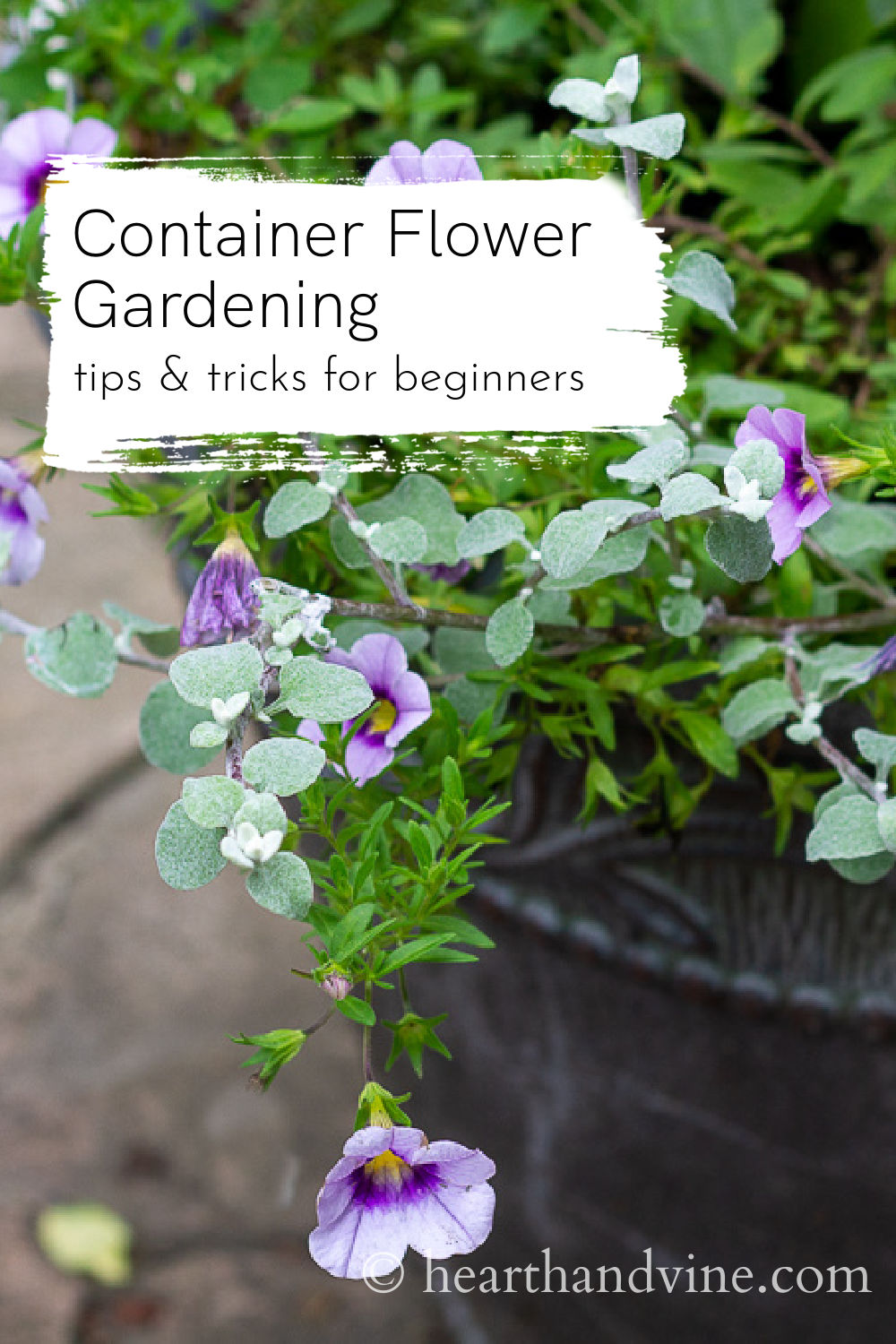 How to Create Container Flower Gardens for Beginners