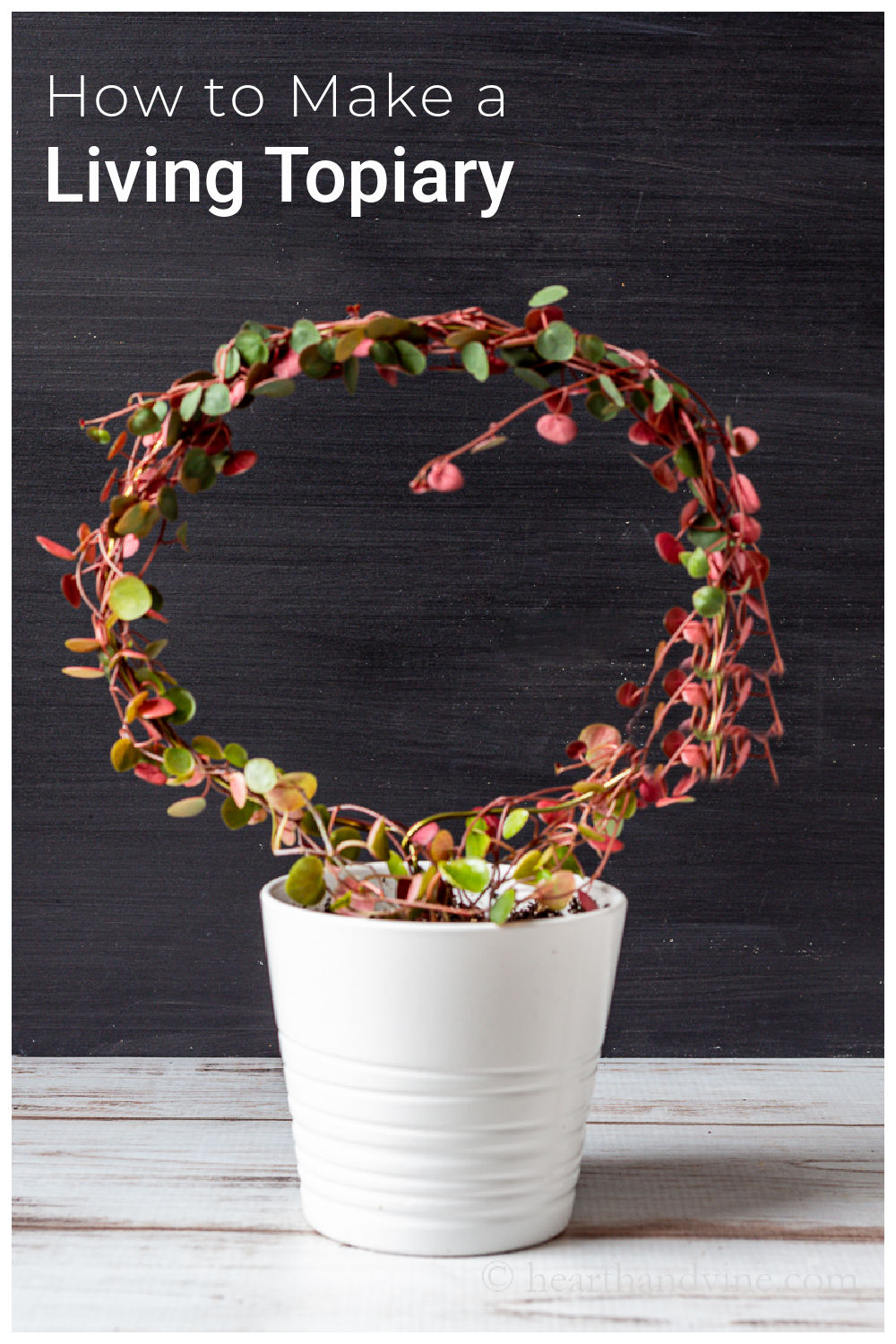 How to Make a Wire Topiary for Your Vining Houseplants