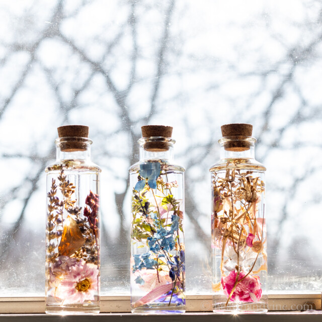 Japanese Herbarium Bottles - Dried Flowers in Oil