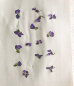 Tasty and Easy Edible Flower Cookies with Dandelions and Wild Violets