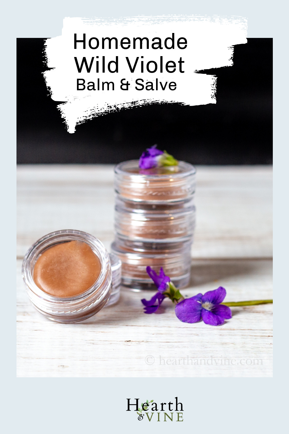 How to Make Wild Violet Lip Balm and Salve Straight from Your Backyard