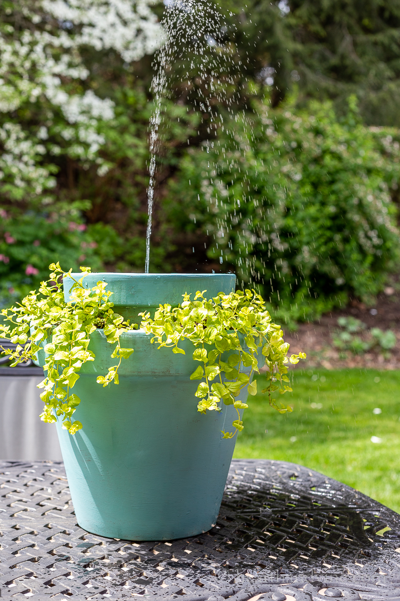 DIY Solar Water Fountain to Enjoy Anywhere Around Your Home